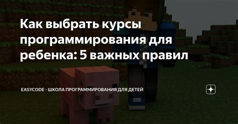 Как выбрать курсы программирования для ребенка 5 важных правил Easycode Школа