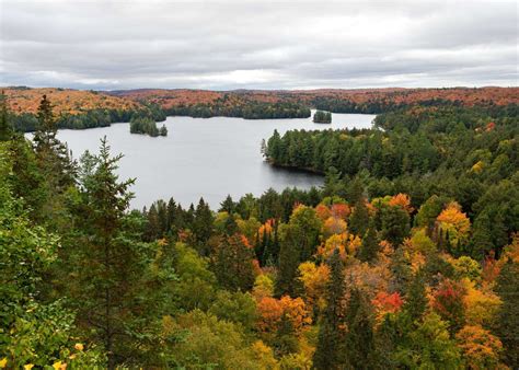 What To Do In Algonquin Park Your Algonquin Park Bucket List