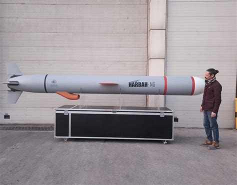 Sage Reactor Scale Model Viapia