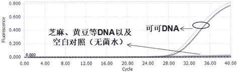 Primer Probe And Method For Detecting Cocoa Derived Components In Cocoa Powder Eureka Patsnap