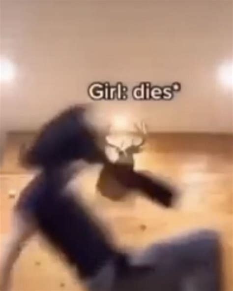 A Video Wont Load For Me So Im Stuck With This Image Scrolller