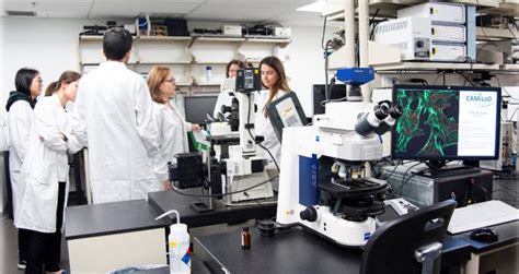 Elevating Quality Control The Benefits Of Working With An Analytical