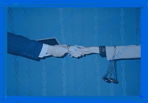 Source Code License Agreements Explained Legal Navigator