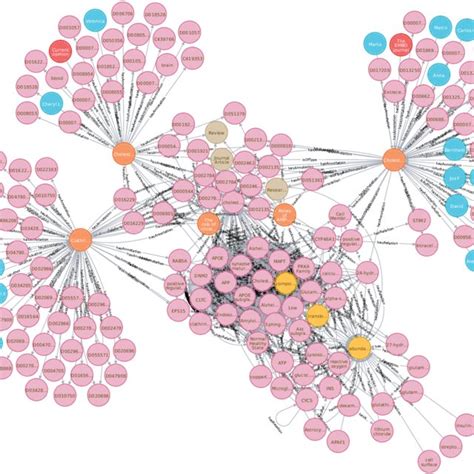 A Subgraph Of The Large Scale Biomedical Knowledge Graph We Can See Download Scientific