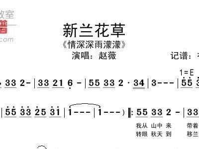 新兰花草 赵薇 情深深雨濛濛 插曲 歌谱 简谱