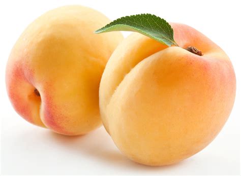 Apricot Facts Health Benefits And Nutritional Value