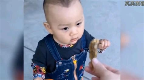 盘点幼崽的倒霉瞬间 bilibili B站 无水印视频解析YIUIOS易柚斯