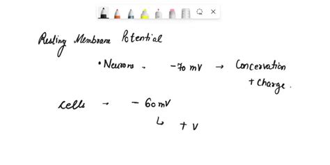 Solved Q2 What Are The Differences Between A Dual Chamber Pacemaker A Bi V Pacemaker And A