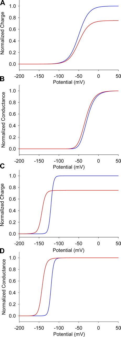 Modulation Of Gating In Independent And Allosteric Models Simulations