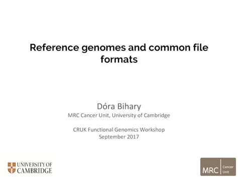 Pdf Reference Genomes And Common File Formats · Saving Time And Space Compressed File