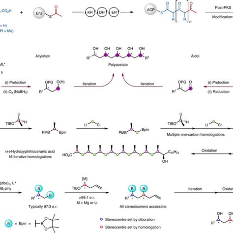Iterative Approaches To The Stereocontrolled Synthesis Of Download