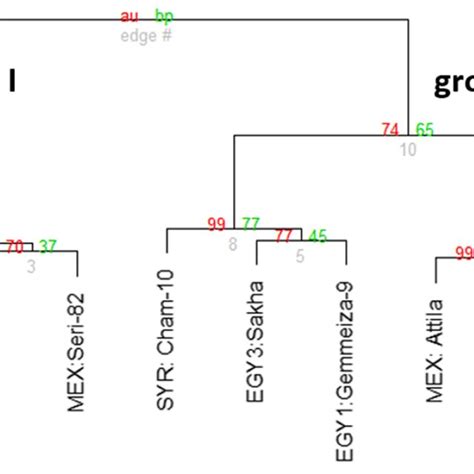 A Cluster Tree Constructed Using R Software Illustrating Genetic
