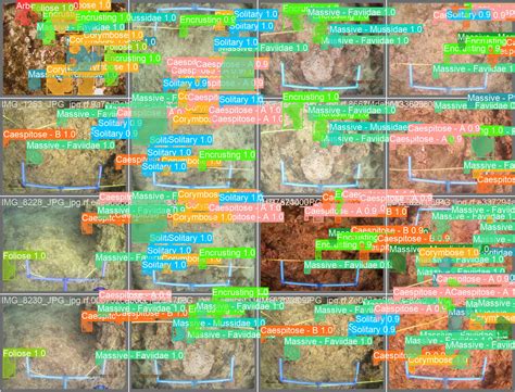 Jasperancoral Segmentation Yolo At Main