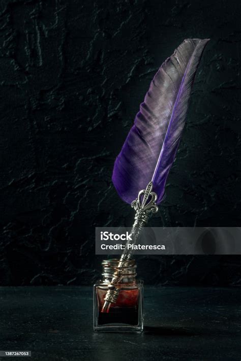 빈티지 잉크가 잘 있는 깃털 퀼 펜 검은 색 배경의 측면 보기 0명에 대한 스톡 사진 및 기타 이미지 0명 갈색 개념 Istock