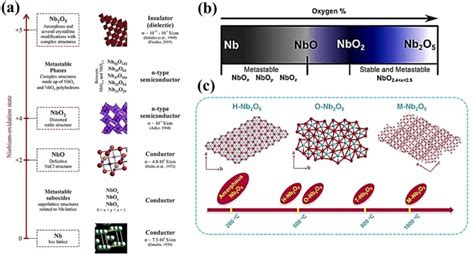 Niobium Oxidation Characteristics And Reaction With Oxygen A Comprehensive Analysis Metalstek