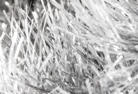 A Close Up Of A Field Of Grass With A Lot Of White And Silver Strands Stock Image Image Of