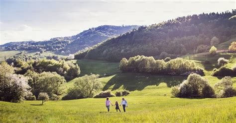 봄 자연 속에서 손녀와 함께 걷고 있는 쾌활한 노부부 공간을 복사합니다 사진 Unsplash의 목초지 이미지
