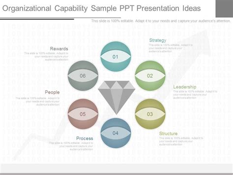 Organizational Capability Sample Ppt Presentation Ideas