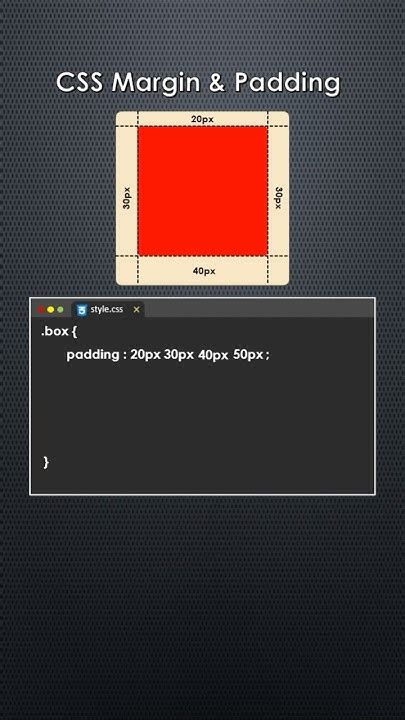Understanding Padding In Css Coding Programming Programmer Python Developer Javascript