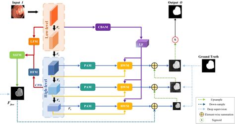 Odc Sa Net Orthogonal Direction Enhancement And Scale Aware Network For Polyp Segmentation Ai