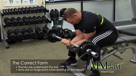 Arm Curls Forearms At Dwight Dees Blog
