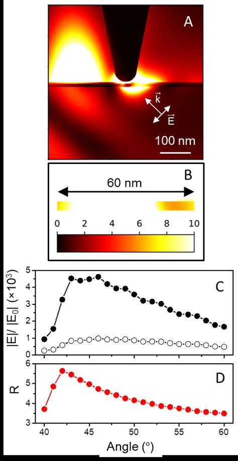 A Fdtd Spatial Distribution Of The Electric Field Magnitude Ee 0