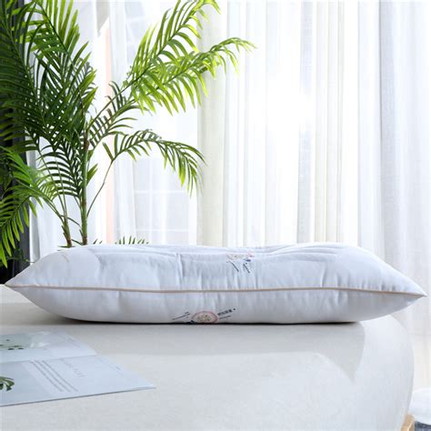 Negative Ion Pillow Antibacterial Pillow Functionalal Pillow