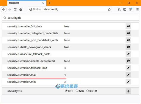 如何为主流网页浏览器启用和禁用 Tls 13 支持 系统极客