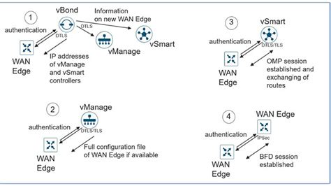 Cisco SD WAN SEN Cisco License