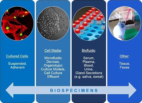 Lcms Metabolomics Lipidomics Massspectrometry Targetedanalysis