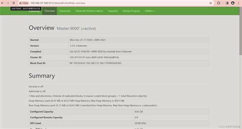 Hadoop伪分布式集群的搭建【详细教程】hadoop伪分布式集群搭建 Csdn博客 Hadoop伪分布式集群的搭建【详细教程】hadoop伪分布式集群搭建 Csdn博客