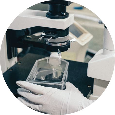 Products And Services Bledsoe Corp