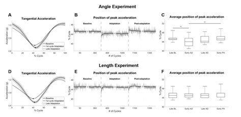 Changes In The Profile Of The Tangential Acceleration Adaptation In Download Scientific