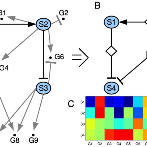 Interaction Network A The Biochemical Interaction Network For The Download Scientific Diagram