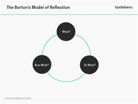 Bortons Model Of Reflection Is A