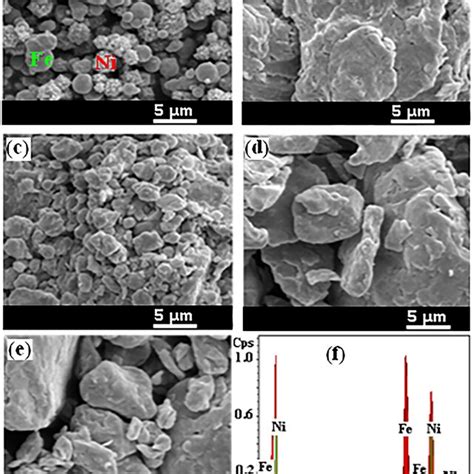 Scanning Electron Micrographs Secondary Electron Image Mode