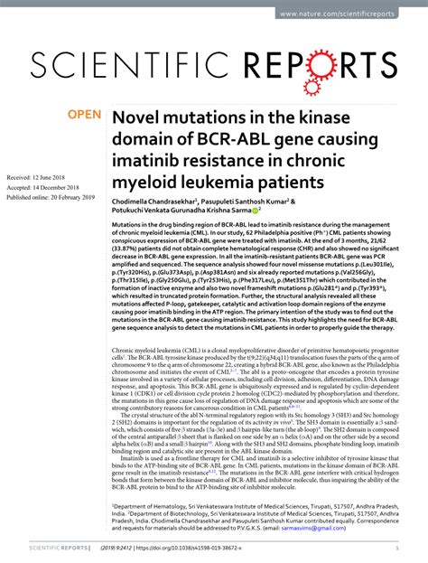 Pdf Novel Mutations In The Kinase Domain Of Bcr Abl Gene Causing