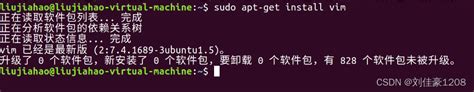 程序‘vim已包含在下列软件包中的解决方案 Csdn博客