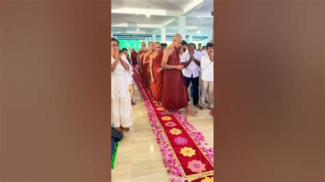 ️ධර්මය ශ්‍රවනය කිරීම සදහා මල් පාවඩ මතින් වැඩම කරන ස්වාමීන්වහන්සේ වහන්සේලා🥰🙏 Srilanka Buddha