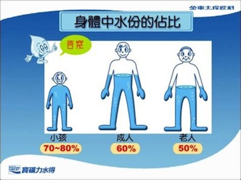 水份補給教室 第1課了解身體中的水份 文章 運動筆記