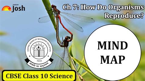 CBSE Class 10 Chapter 7 Science 2023 Mind Map How Do Organisms Reproduce Mind Map For Superfast