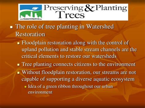 PPT The Role Of Tree Planting In Watershed Restoration PowerPoint Presentation ID 2359093