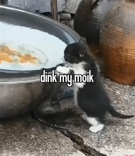 Dink My Moik Dink My Oiter Know Your Meme