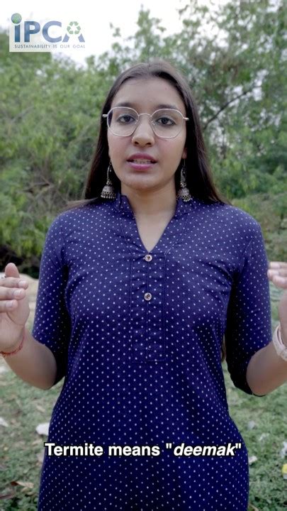 Dr Anil Kumar Shankhwar On Linkedin Multi Layered Plastic