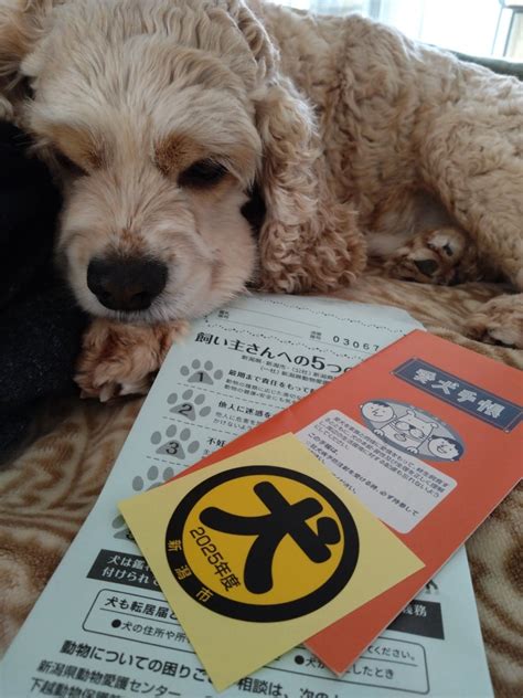 狂犬病予防ワクチン かっこのブログ