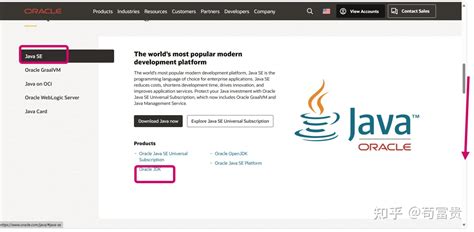 Java初学者 Jdk的安装与配置【win11系统】 知乎