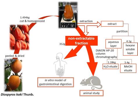 Sample Preparation And Flow Of Experiments Download Scientific Diagram