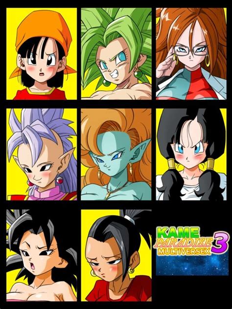 Kame Paradise Multiversex Stash Games Tracker