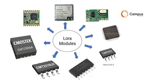 Introduction Of Lora Module Youtube