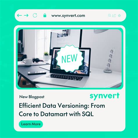 Datamanagement Sql Dataversioning Datamart Synvert Annika Passfeld